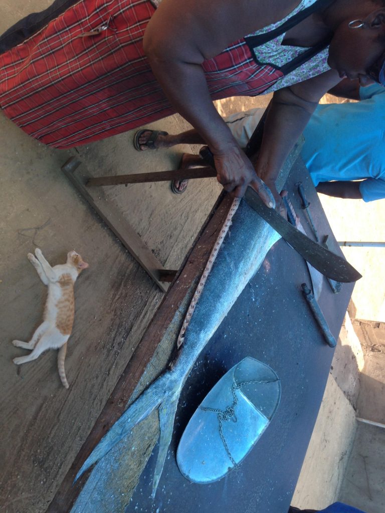 Curaçao - Dradu | Wereldgerecht